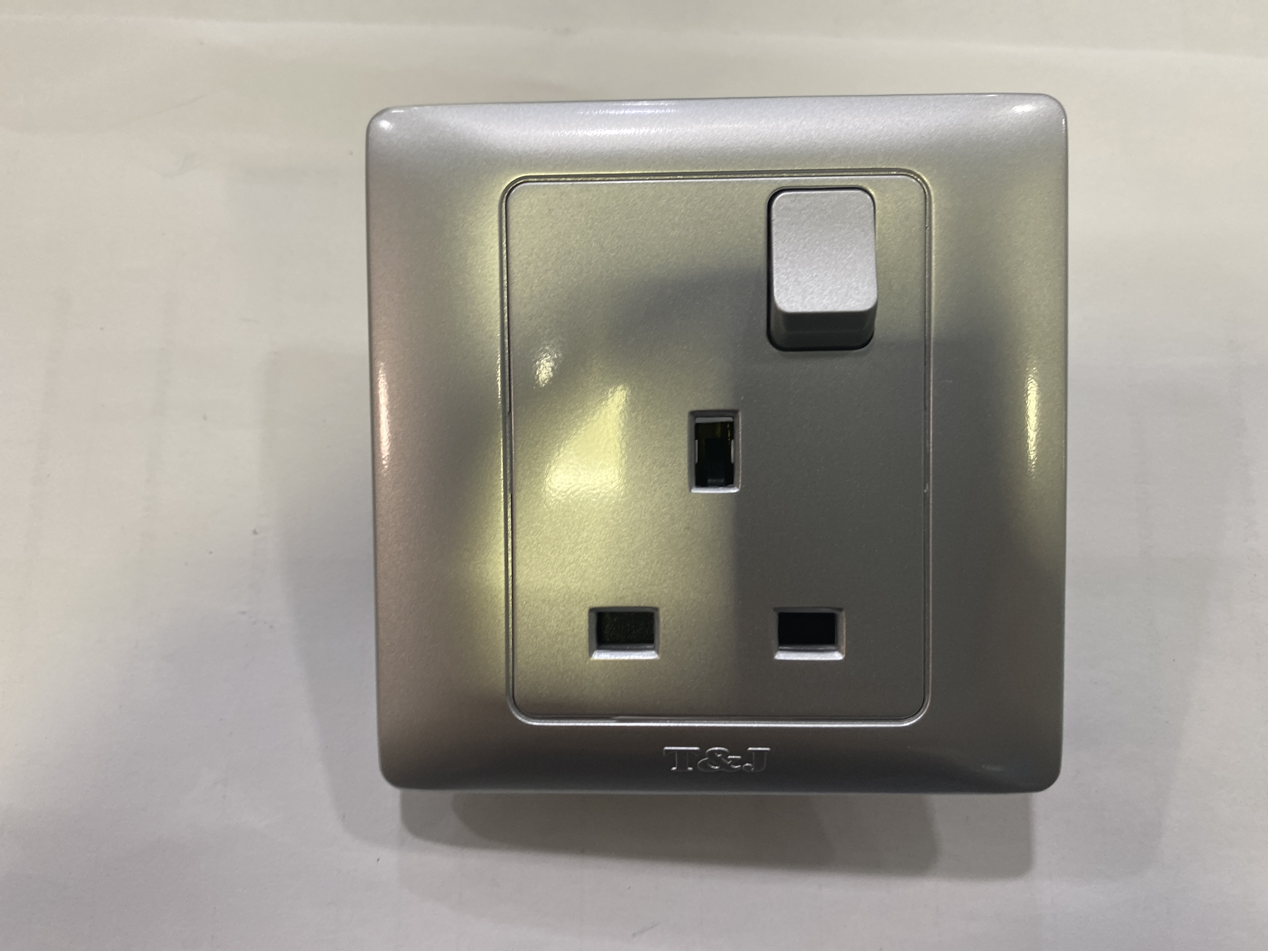 1G13A T&J Radiance Power Socket - Gross Silver